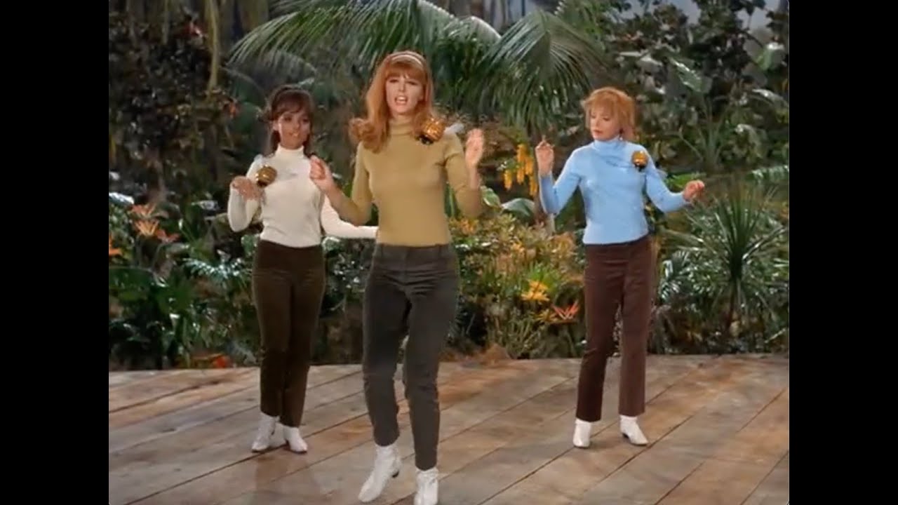 The Honeybees | "You Need Us" | Gilligan's Island S2E12 (1965) - YouTube