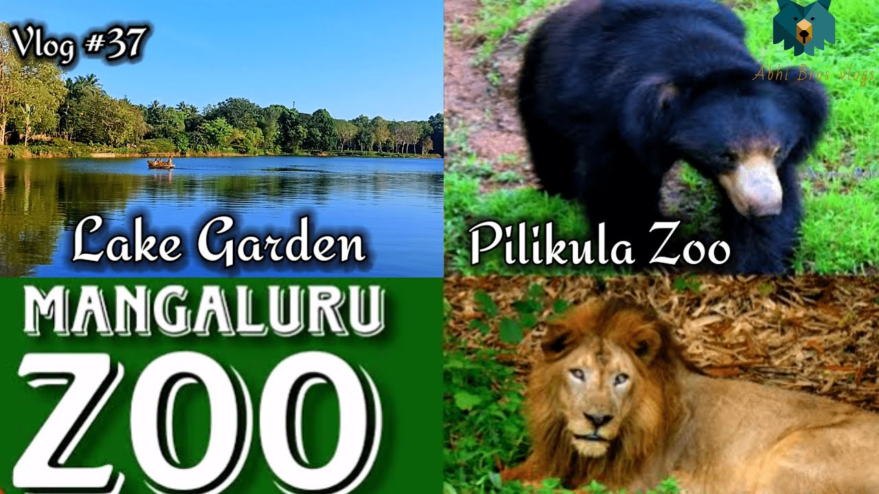Vlog #37 | Lake Garden & Pilikula Zoo | Mangaluru Zoo | 🐘🐼🐯 - YouTube