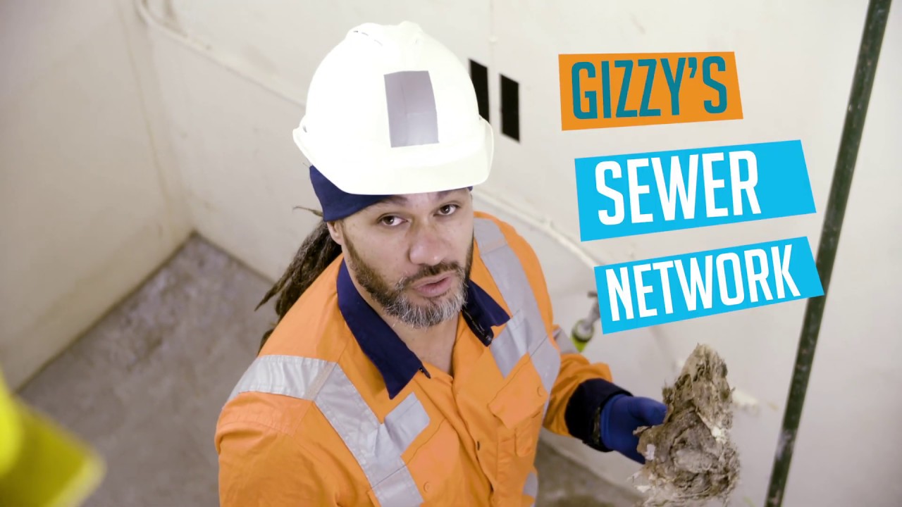 Drainwise 3 Ps - Only Flush Pee, Poo and Toilet Paper down the toilet ...