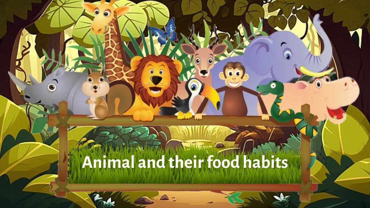 classification of animal based their food habits ||Animal Food Habits ...