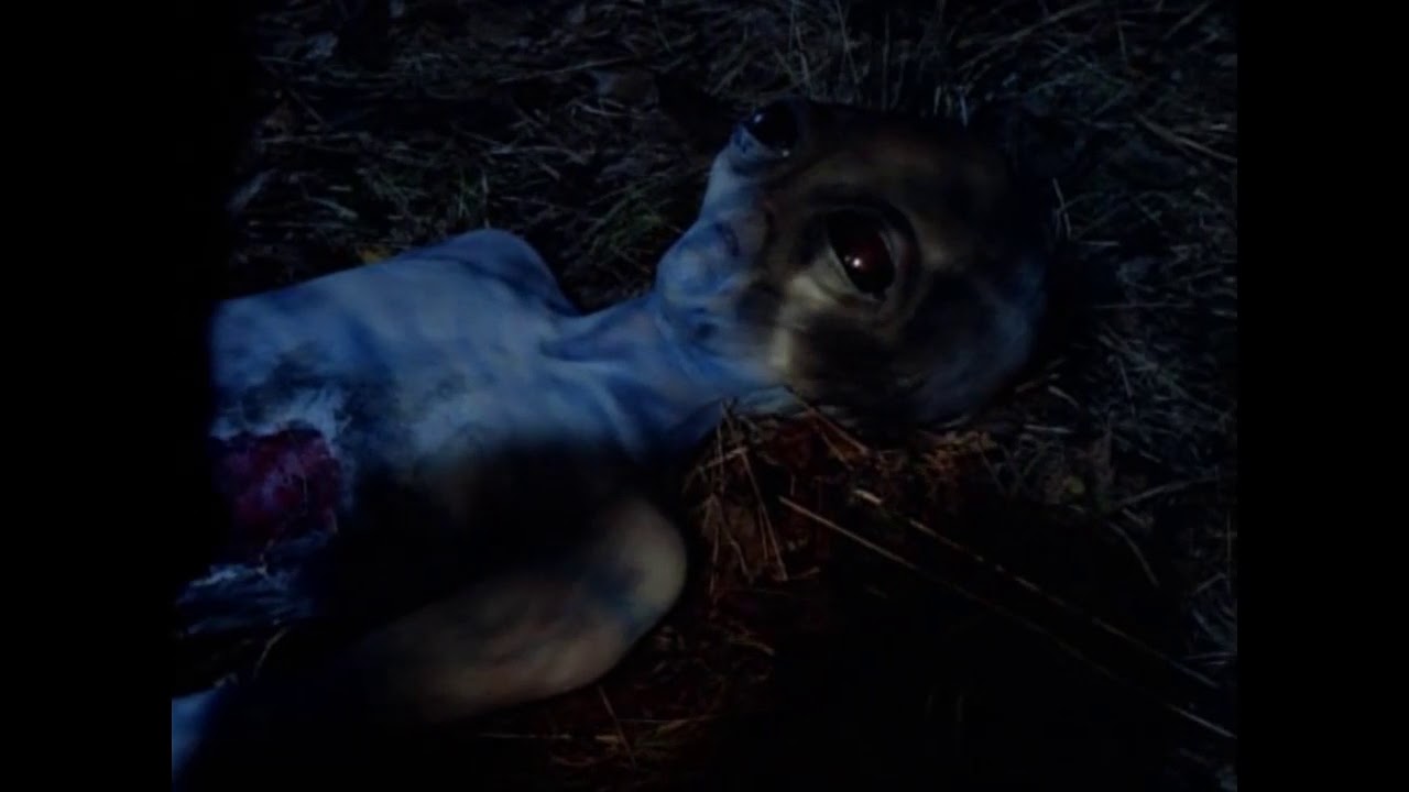 that's a bleeping dead alien - YouTube