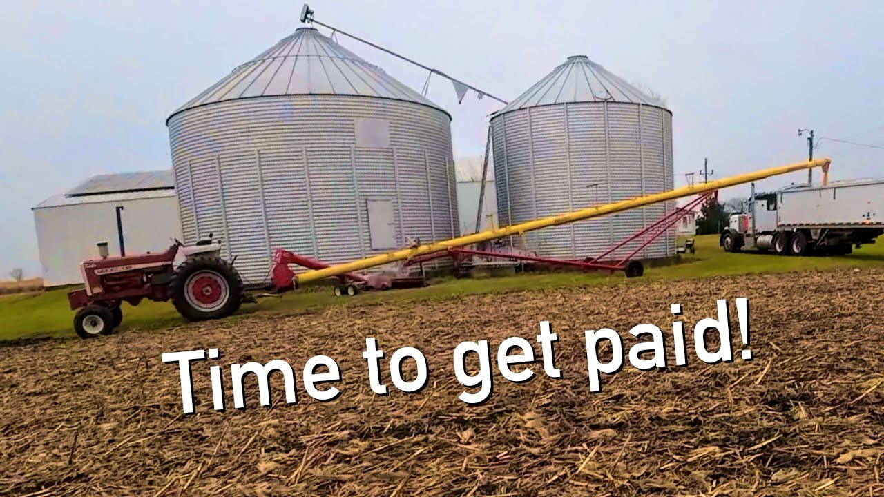 Let’s haul some corn! - YouTube