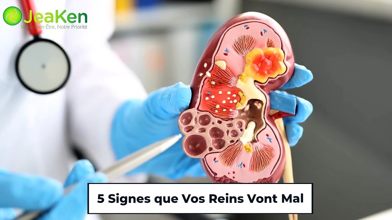 5 Signes que Vos Reins Vont Mal - YouTube