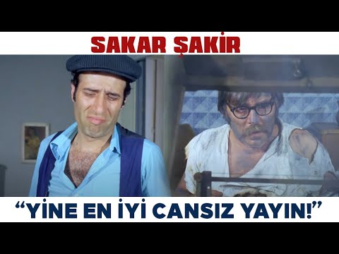 Sakar Şakir Türk Filmi | Yine En iyisi Cansız Yayın! Kemal Sunal Filmleri