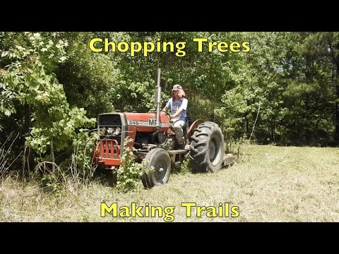 Bush Hog Taking out Trees - YouTube