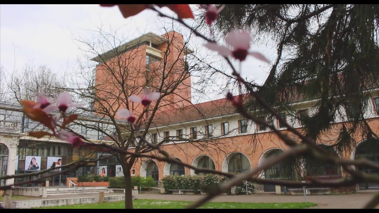 Visite du CAVILAM - Alliance française - YouTube
