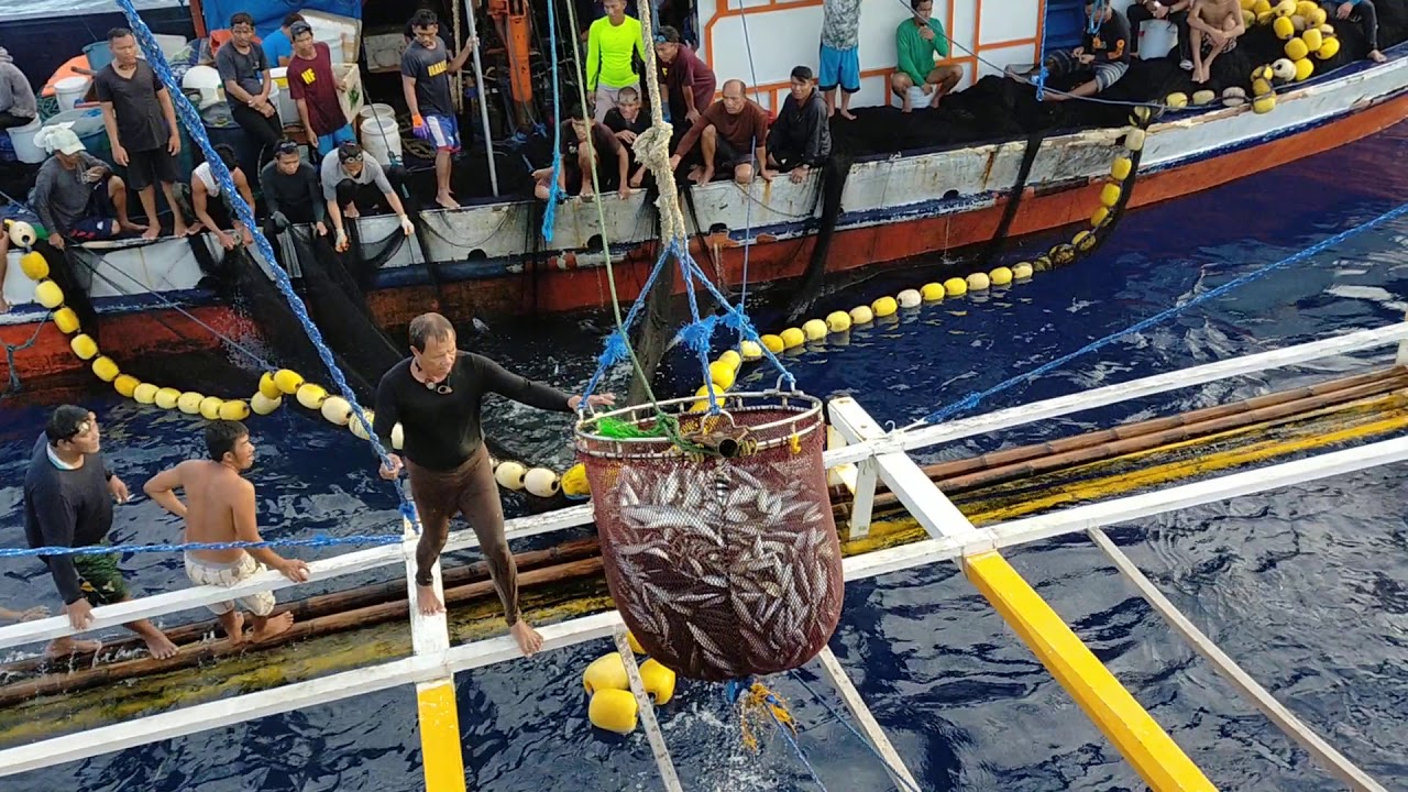 Payao fishing in Milbuk - YouTube