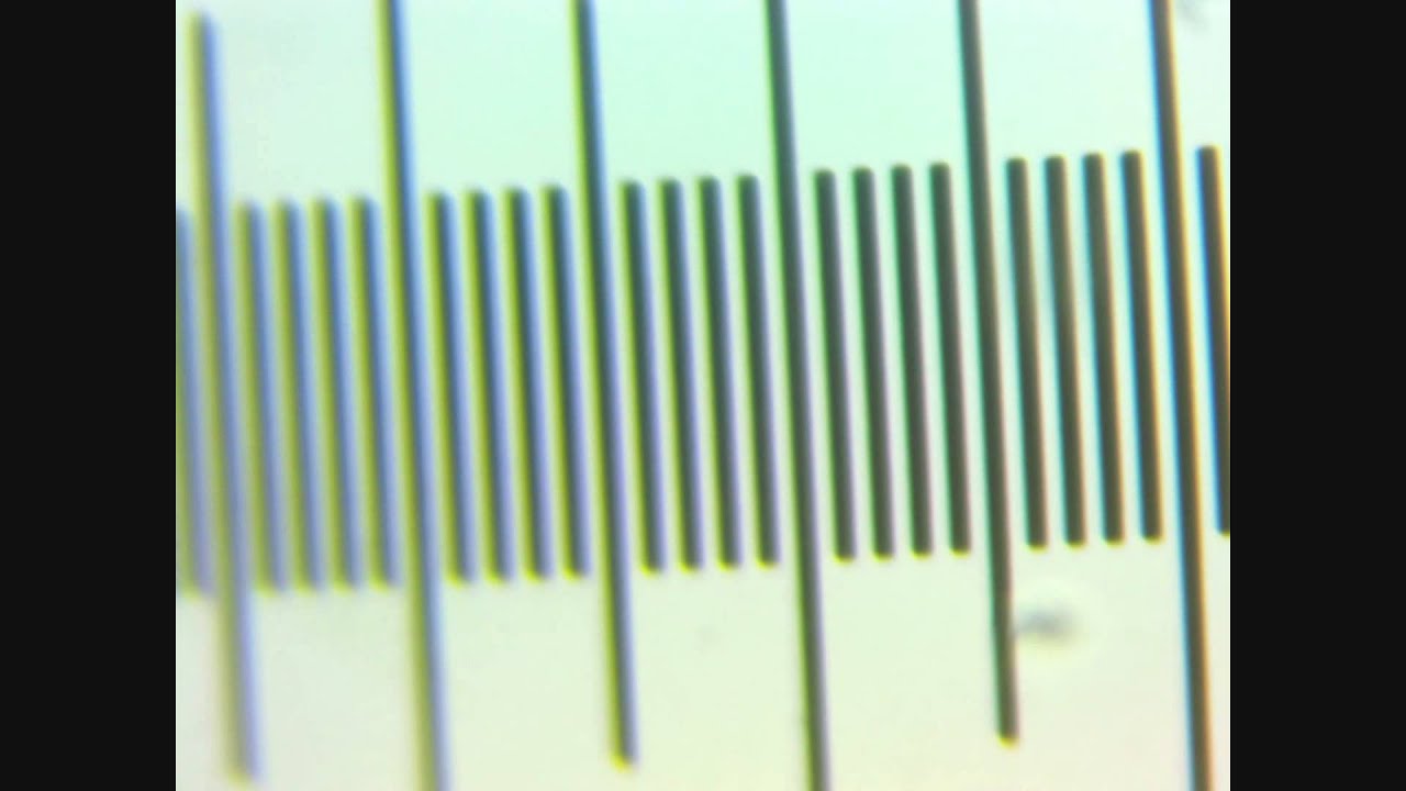 How Big is Small? Common things under a microscope for scale ...