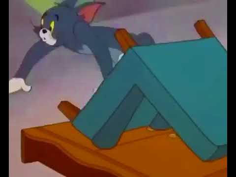 Шымкенттин кыздары зын, зын, зын. Том и Джерри