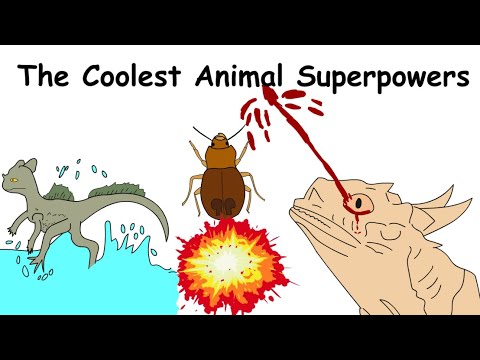 Animals With The *MOST* Incredible Superpowers That Will Blow Your Mind ...
