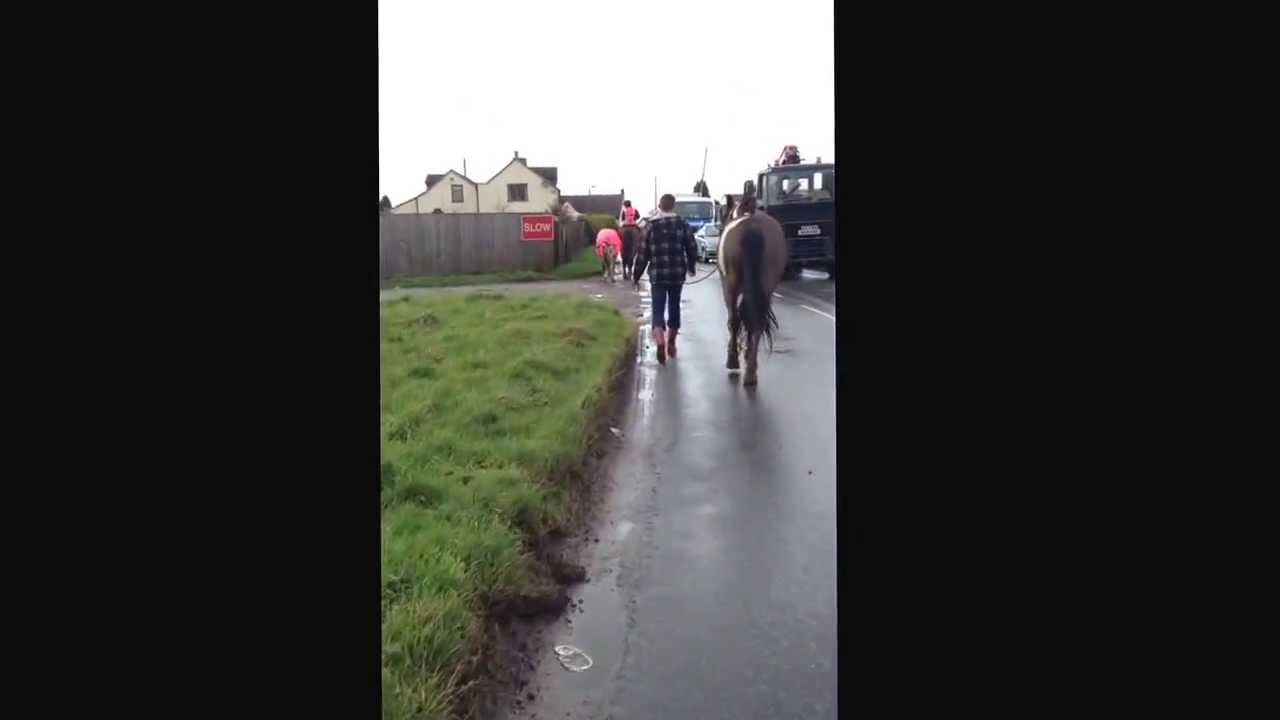 Archie willcox - YouTube