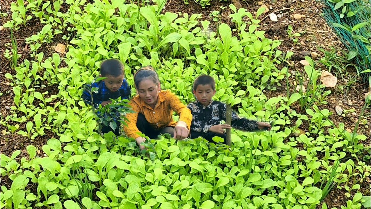 Full video of the process of transforming a wild garden into a ...