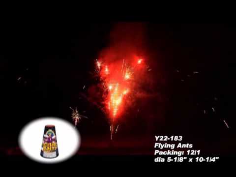 Flying Ants Y22 183 Cannon Fireworks by Red Apple Fireworks - YouTube