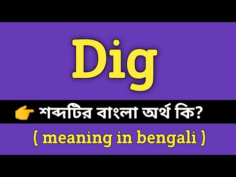 Dig Meaning in Bengali || Dig শব্দের বাংলা অর্থ কি? || Bengali Meaning ...
