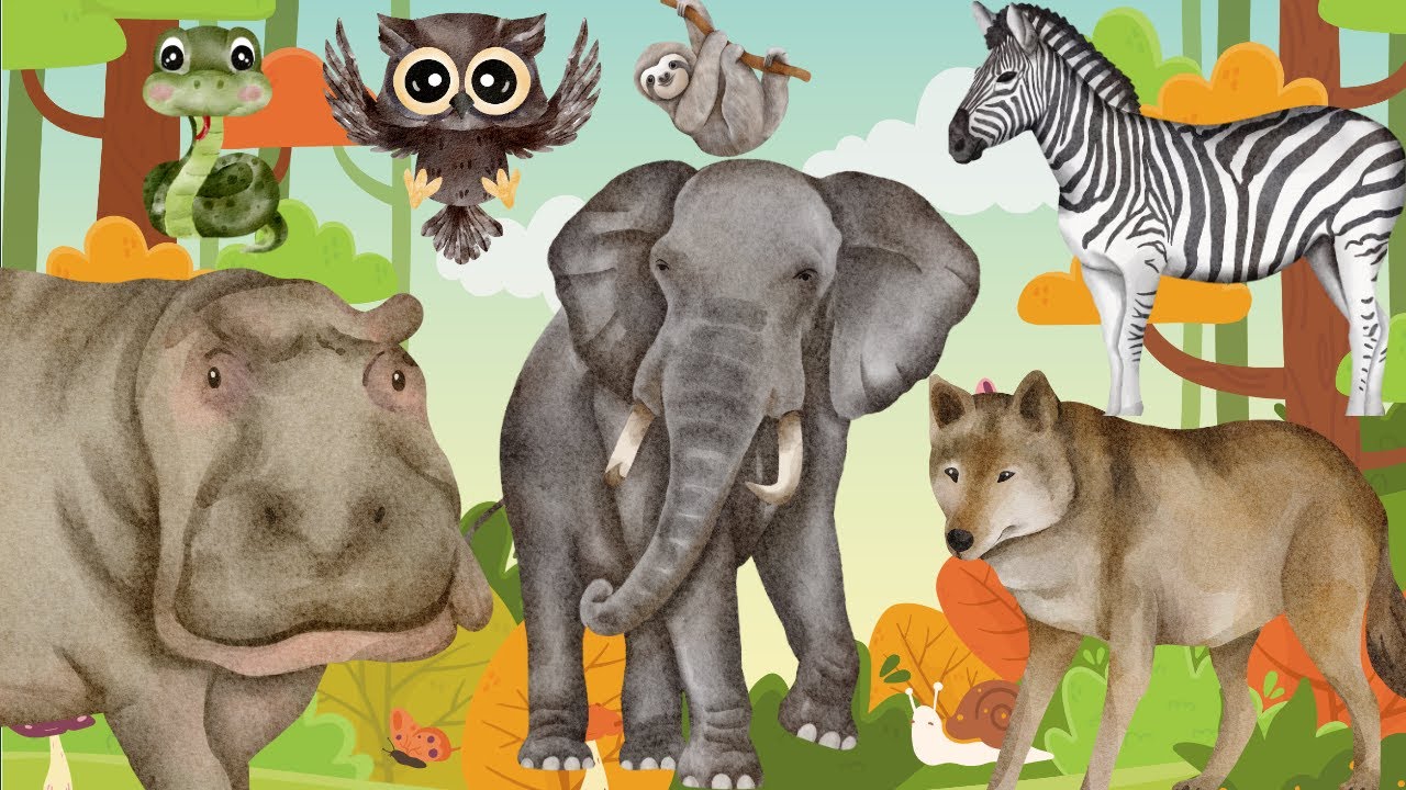 Fox VS Zebra - Who will win in a fight | Wildlife world - YouTube