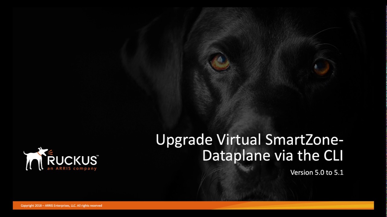 Upgrading Virtual SmartZone-Data Plane (vSZ-D) Using the CLI - YouTube