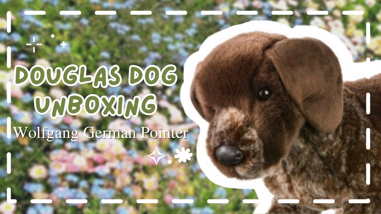 🌱🐾 Unbox Wolfgang the German Pointer With Me! | ESSA dog 🦴 - YouTube