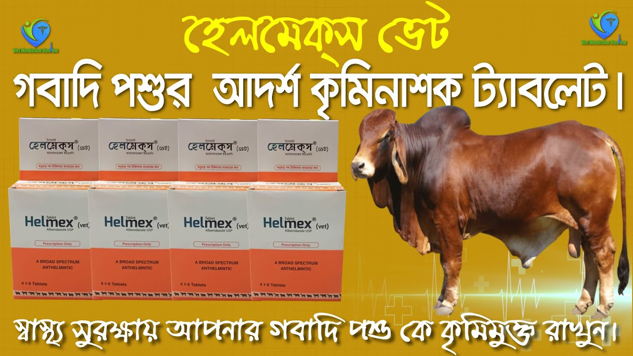 Helmex vet । হেলমেকস ভেট। গবাদি পশুর আদর্শ কৃমিনাশক। গোল,ফিতা, ফুসফুস ও ...