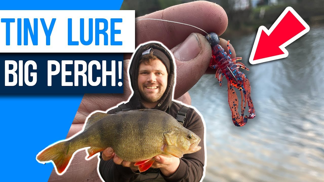 Catching BIG River PERCH on Tiny Creature Baits! - YouTube