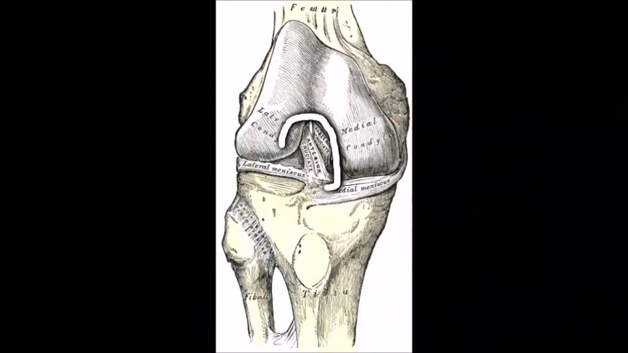 maligalig adv bio 3rd qt pt - YouTube