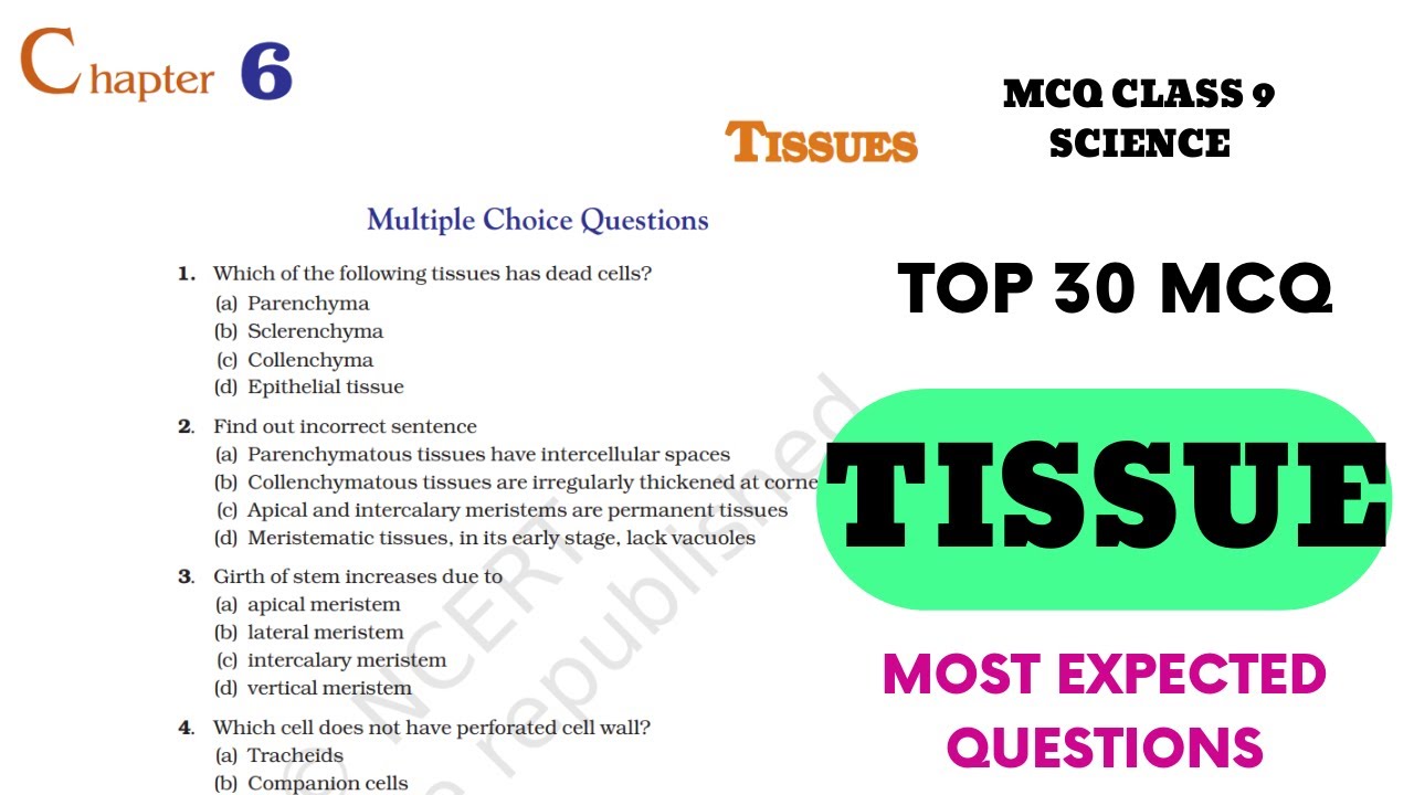 Best MCQ Tissue Class 9 Exemplar || CLASS 9 Science Mcq | Class 9 ...