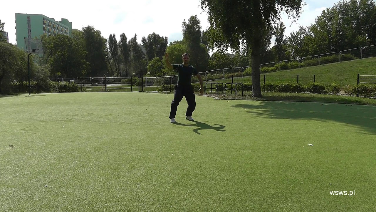 Chen Style Freestyle Routine 1a - YouTube