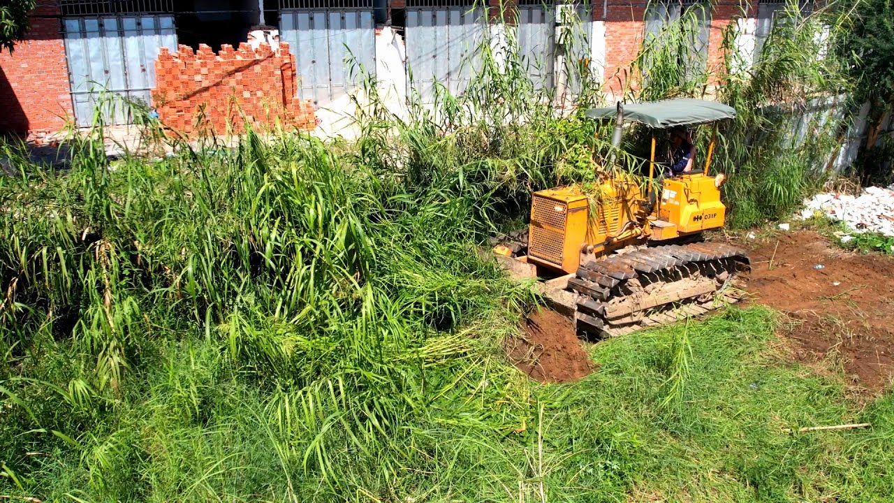 Amazing Project!! New Project Techniques Skills Clearing Forest By ...