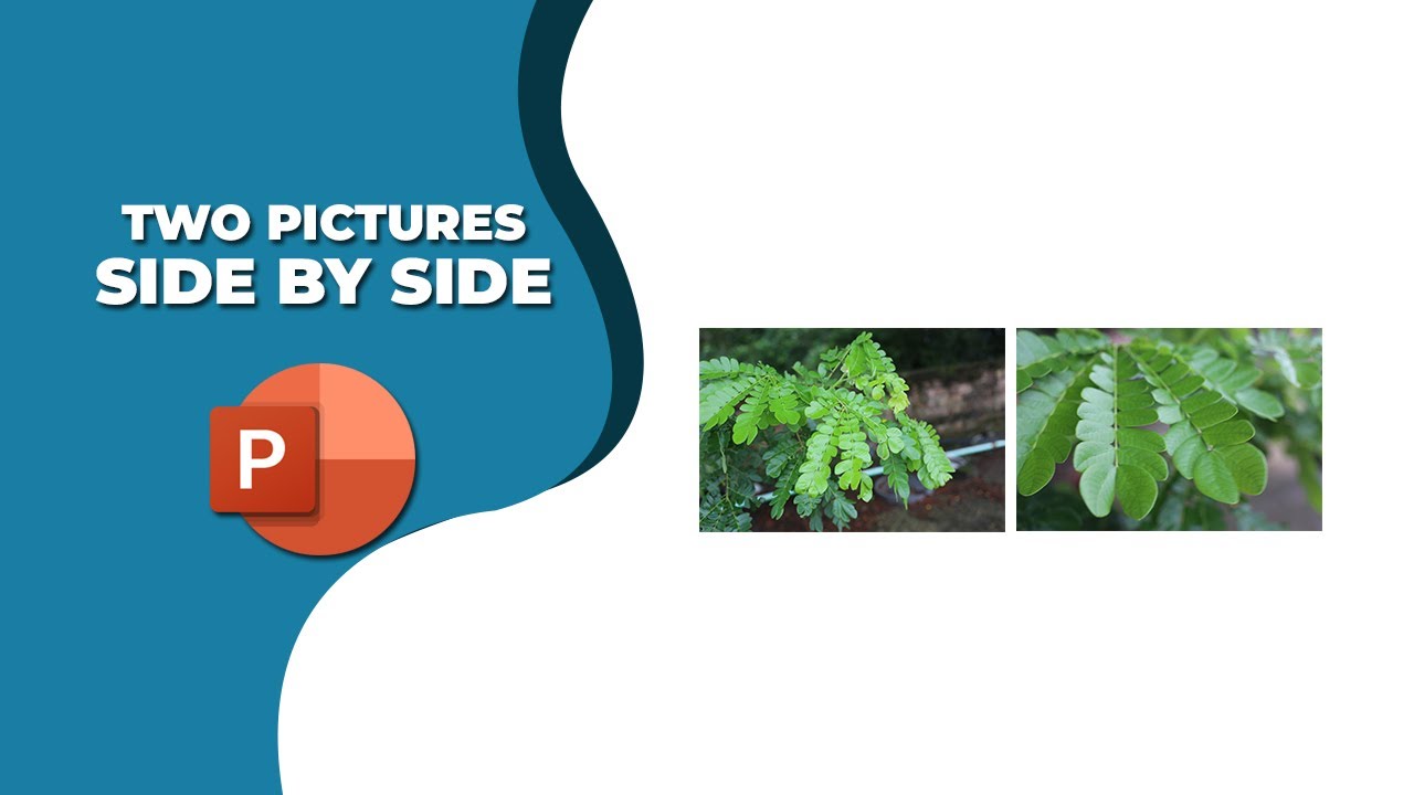 How to put two pictures side by side in PowerPoint - YouTube