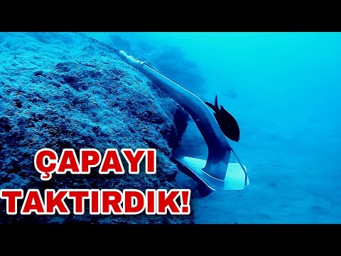 ÇAPAYI KAYAYA TAKTIRDIK GÖCEK Göbün Koyu Dış Göbün Koyu Merdivenli Koy (Sailing Turkey)