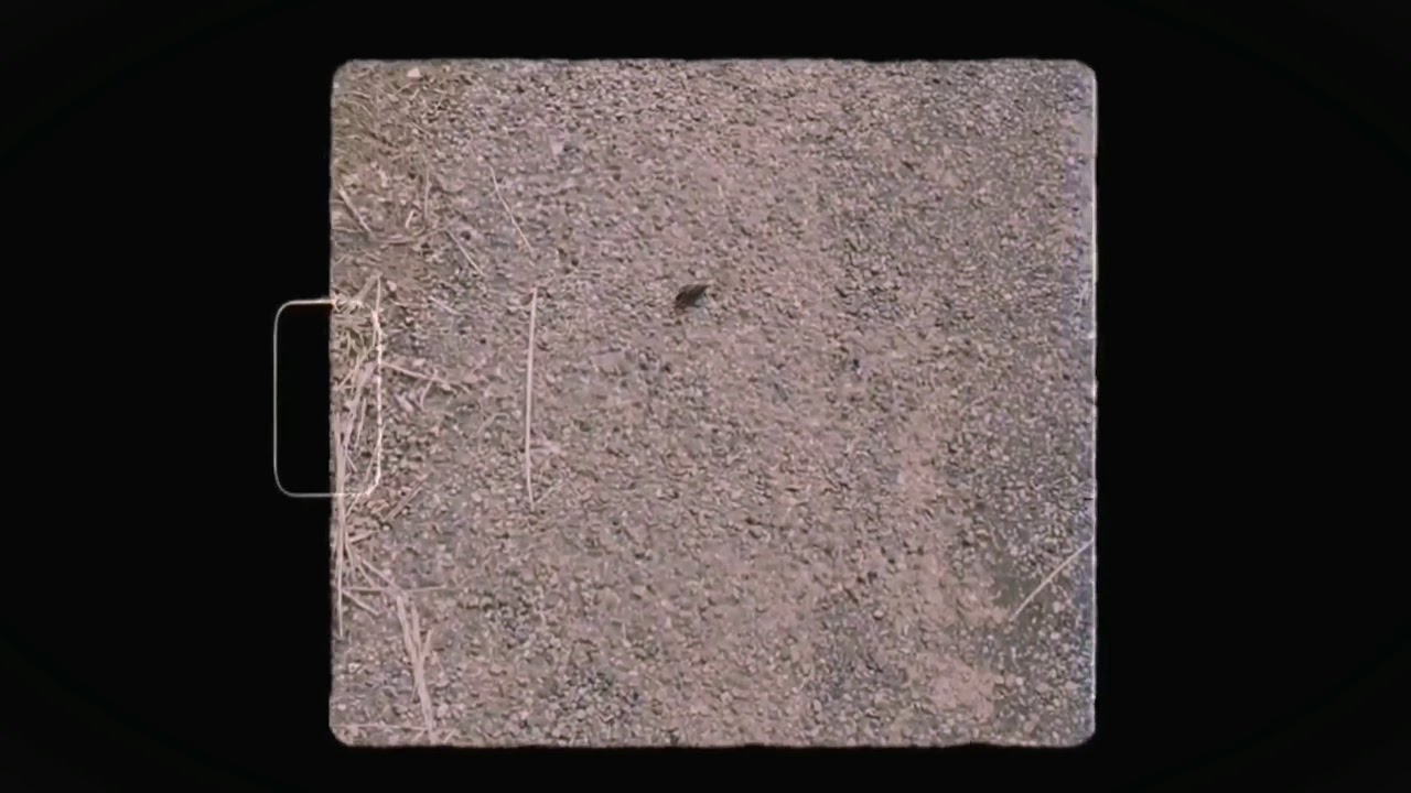 Laura Farrow - Darling You (Official Video) - YouTube