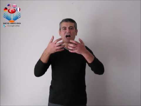 Aslan - işaret dili