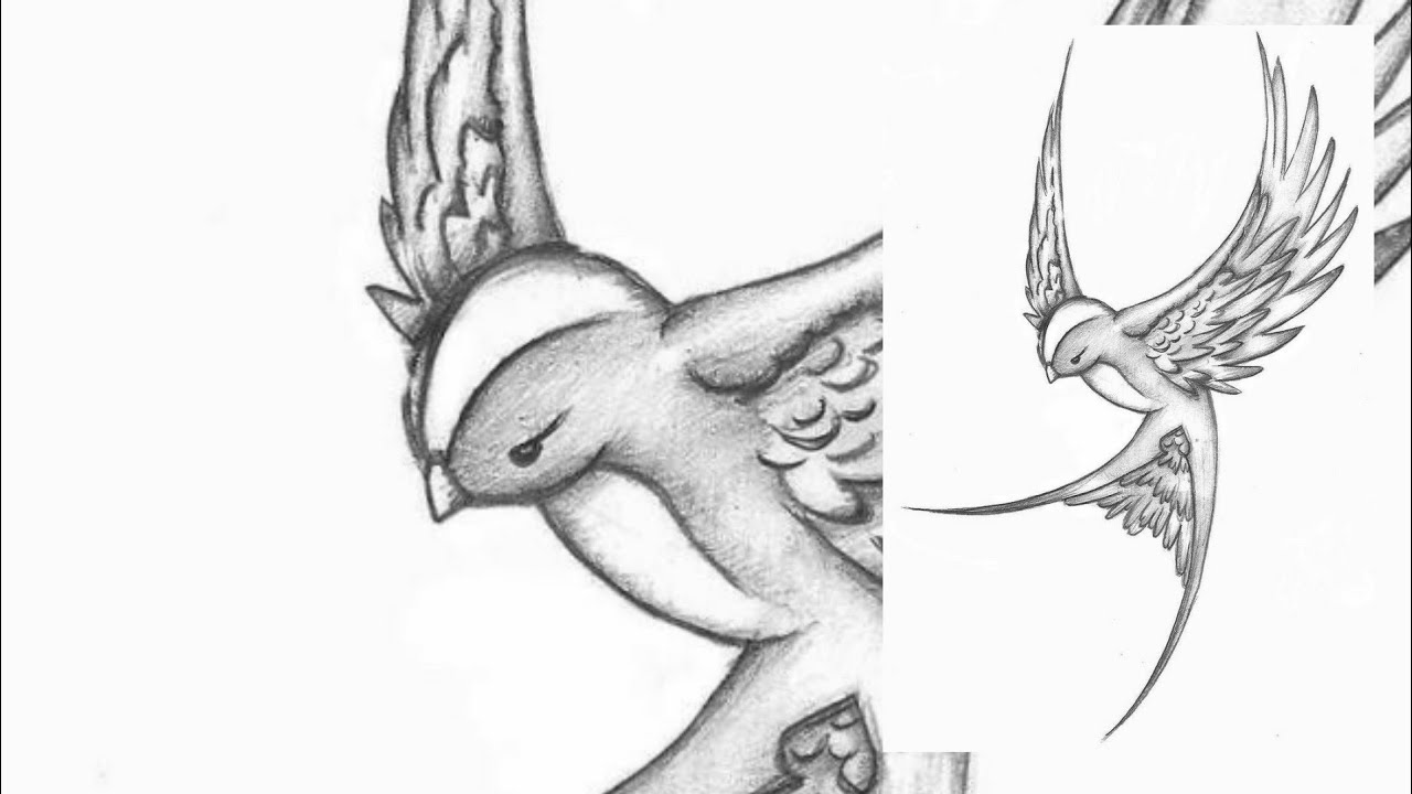 het drawing first video #viral video - YouTube