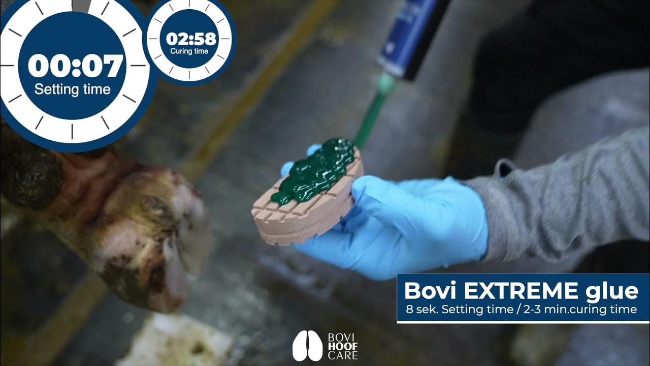 Bovi Hoof Glue EXREME - 200 ml. (English) - YouTube