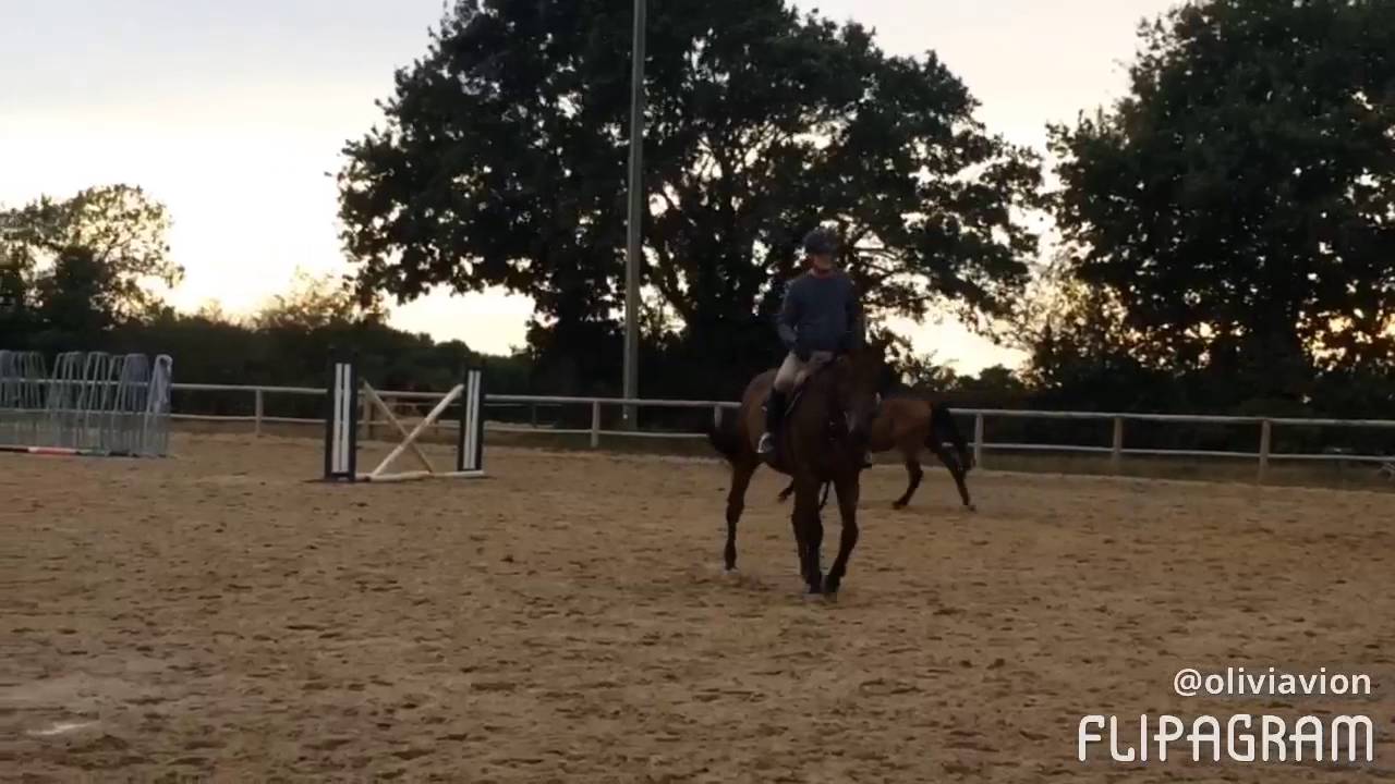 Cours CSO Galop 6 - YouTube