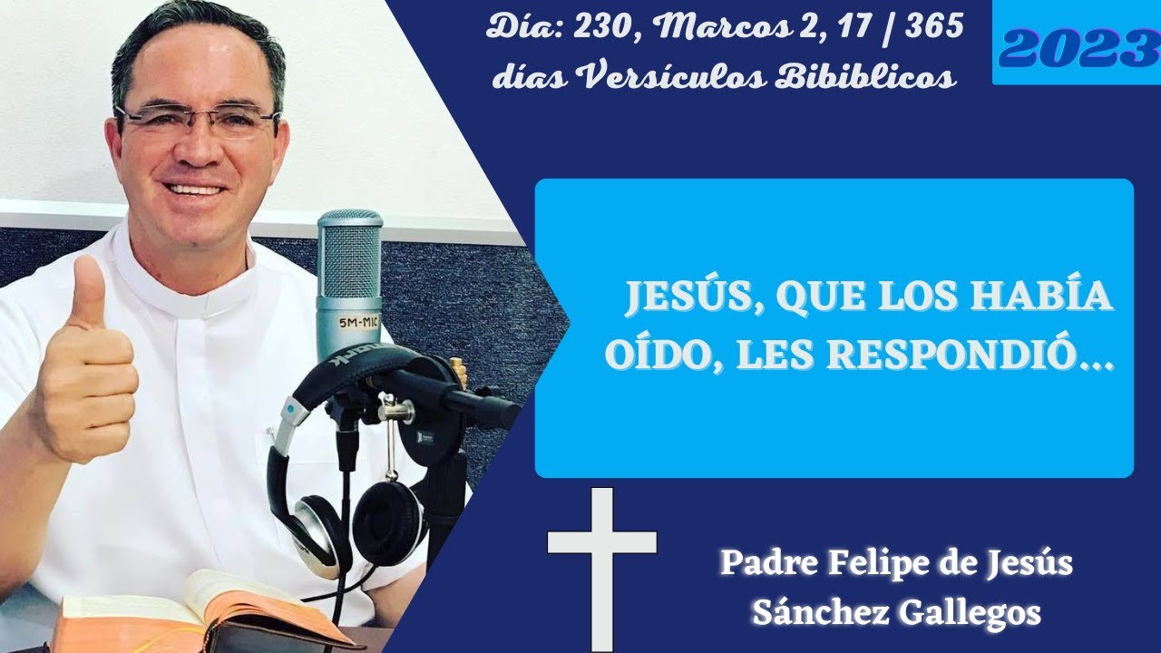 Dia 230 | Marcos 2 , 17 | 365 Versiculos Biblicos | Padre Felipe de ...