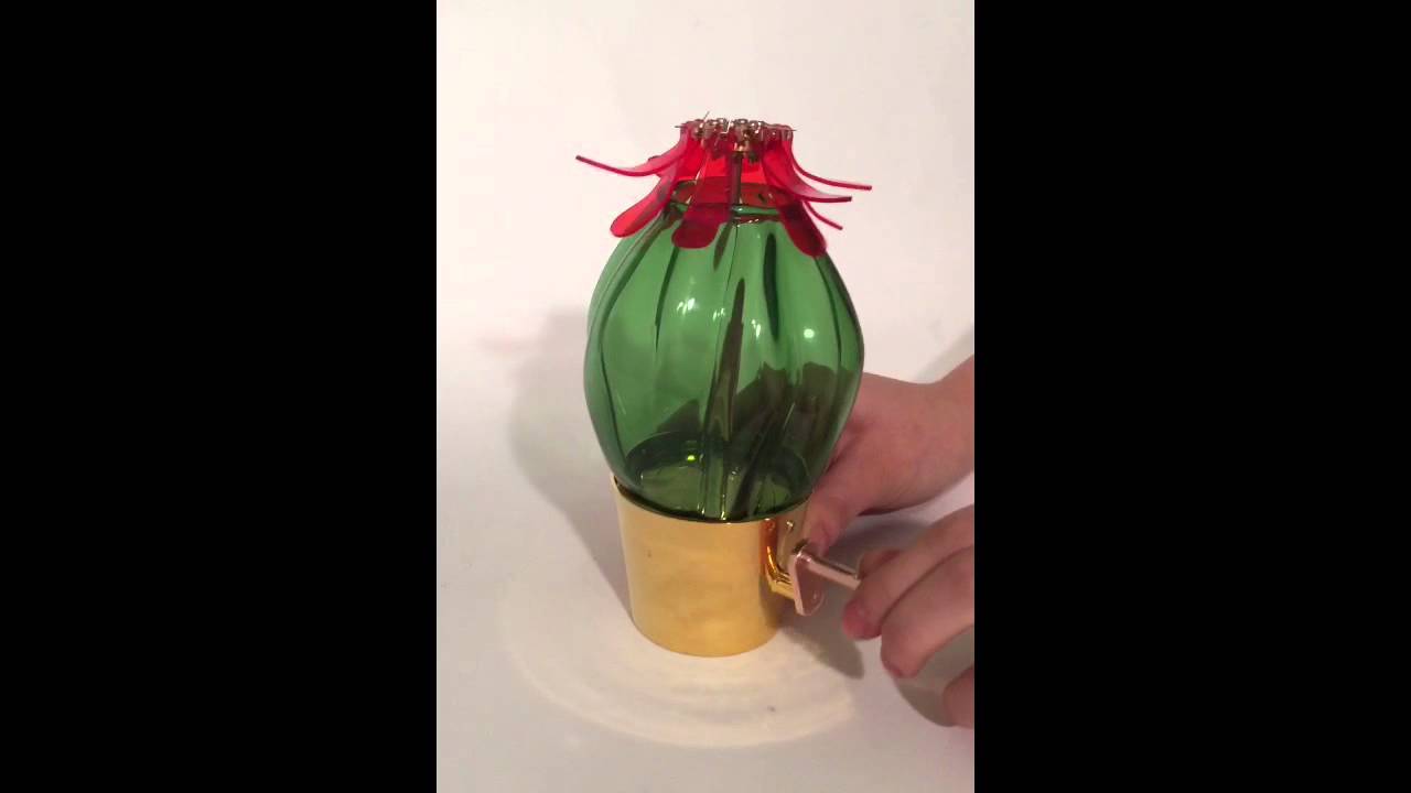 automata - cactus flower - YouTube