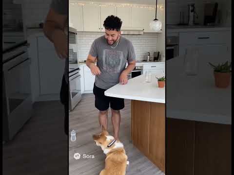 Comment down below to tell me what you think 🤫