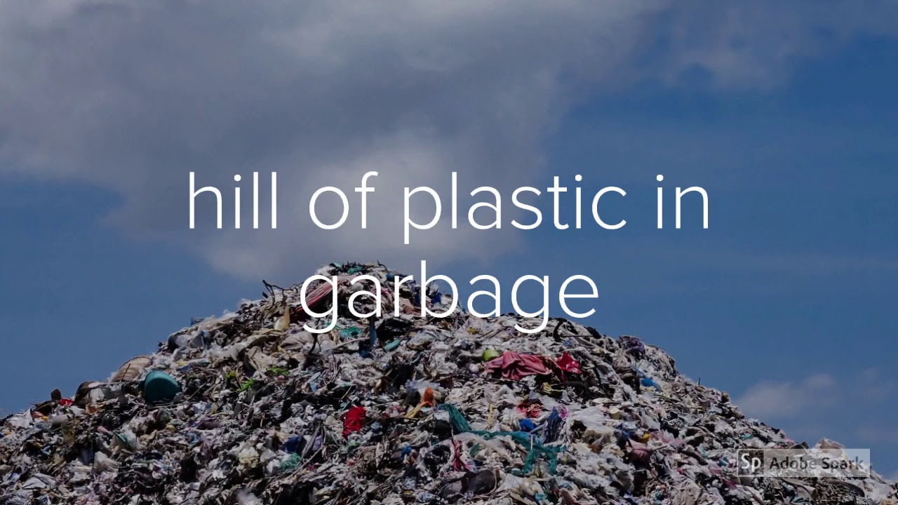 we are damaging nature. - YouTube