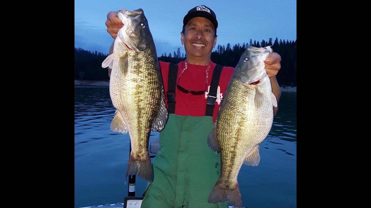 GIANT Bullard's Bar Spotted Bass Limit, 37 lbs for 5, Bass Fishing ...