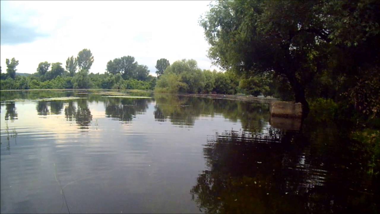 fly fishing rudd - YouTube