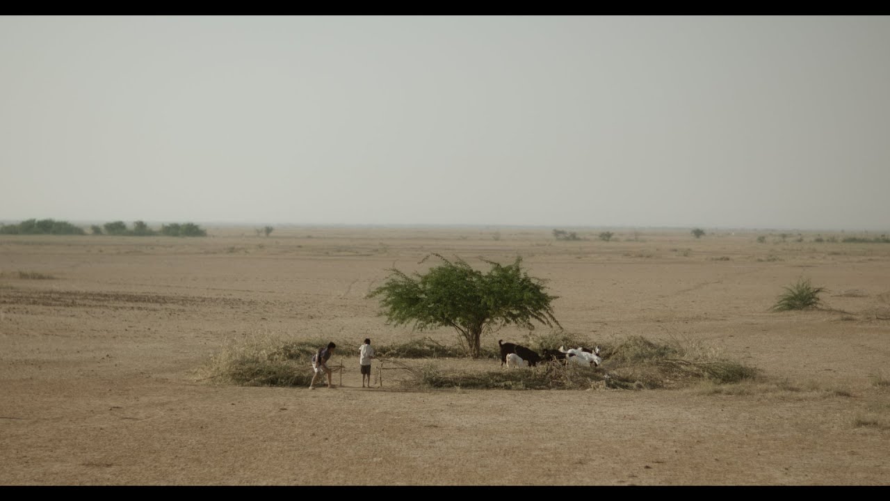 Dal Bhat | Official Teaser - YouTube