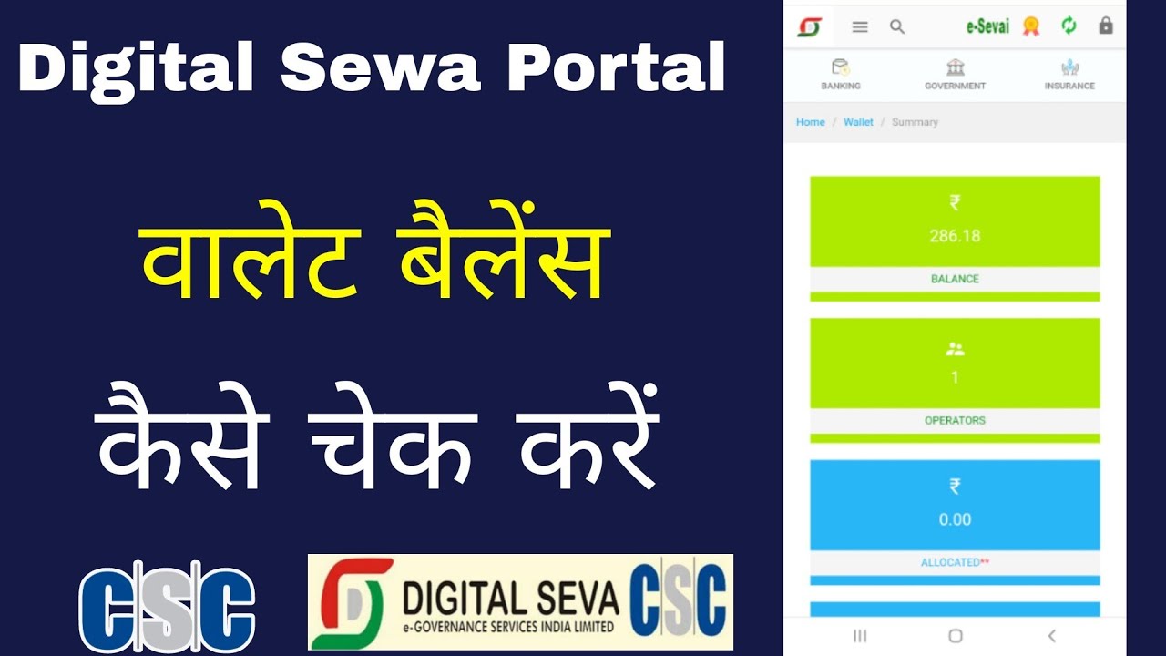 Digital sewa portal wallet balance check | csc wallet balance kaise ...