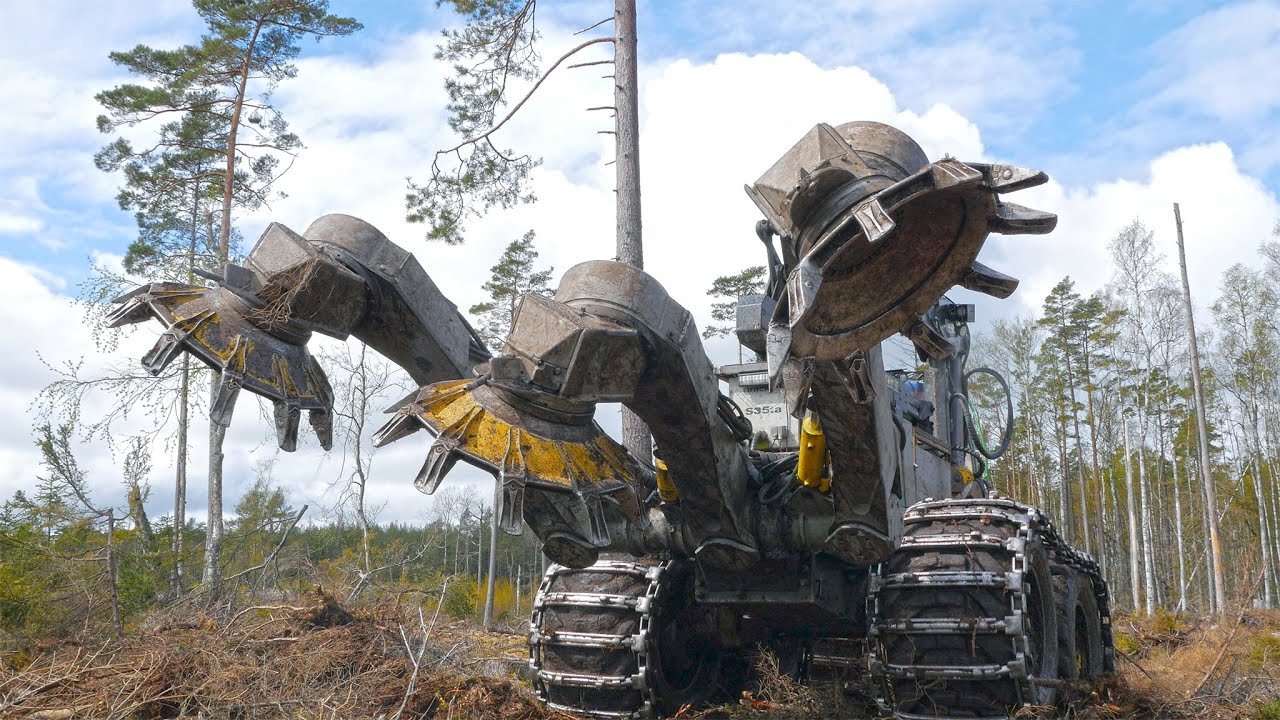 Scarifier Sowing Pine Seedlings During Scarification - YouTube