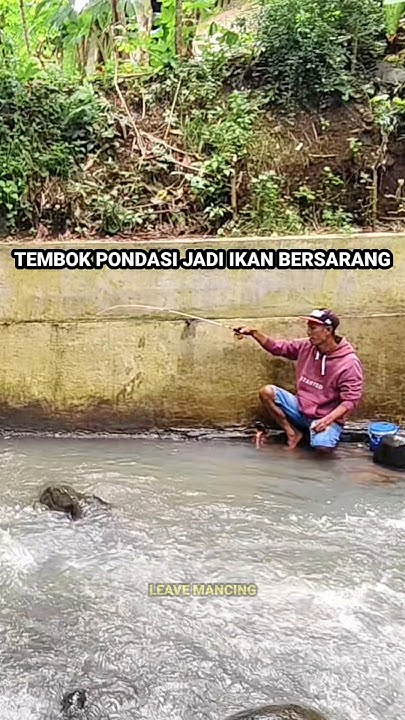 mancing nilem di selokan ikannya di bawah tembok - YouTube