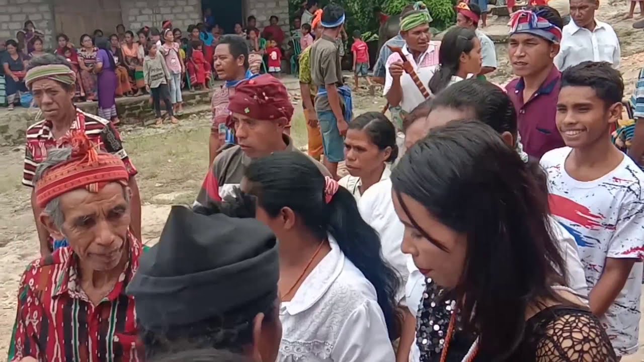 Budaya Sumba barat daya sebelum pemakaman Jenazah//Kampung Limbu Watu ...