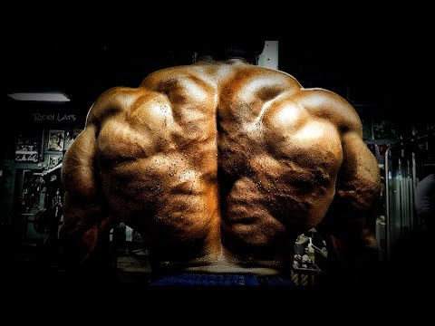 Privet privet 2009 (Ultra Slowed + Rush Laugh)