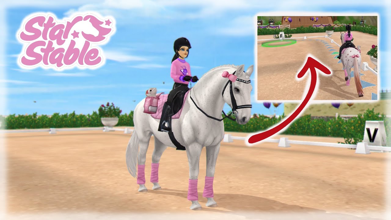 endlich dressur in sso! |+ Lippizaner Pferdekauf 🤍| Emily Stonepot ...