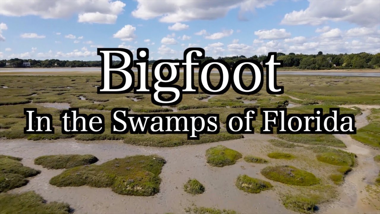 Bigfoot in the Swamps of Florida - YouTube