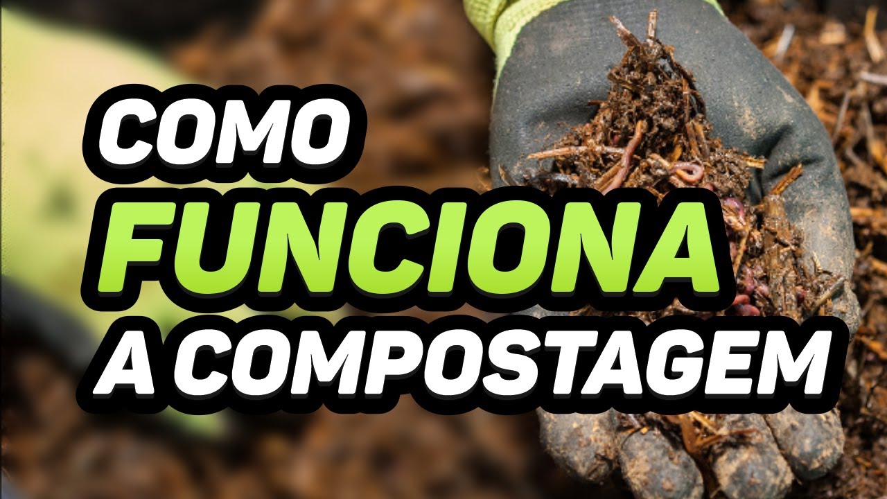 COMO FUNCIONA A COMPOSTAGEM: FASES DE DECOMPOSIÇÃO - YouTube