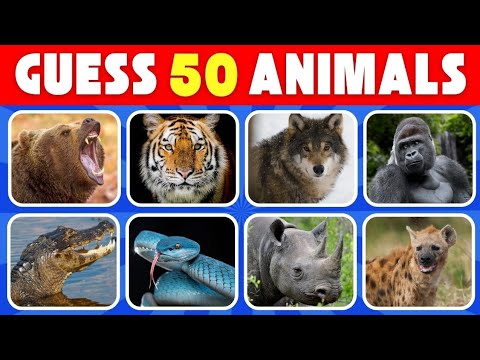Guess 50 Dangerous Animals in 10 seconds 🐯🐉🦈| Guess The Animal By ...